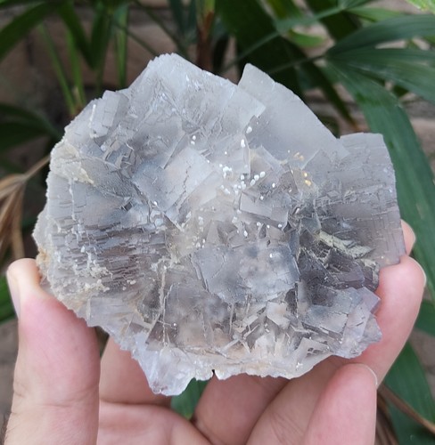 Natural lustrous cubic flourite crystal specimen, Balochistan Pakistan ...