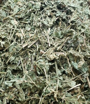 ANAMU 200 GR GUINEA HEN WEED (PETIVERIA ALLIACEA) 100 % NATURAL FROM ...
