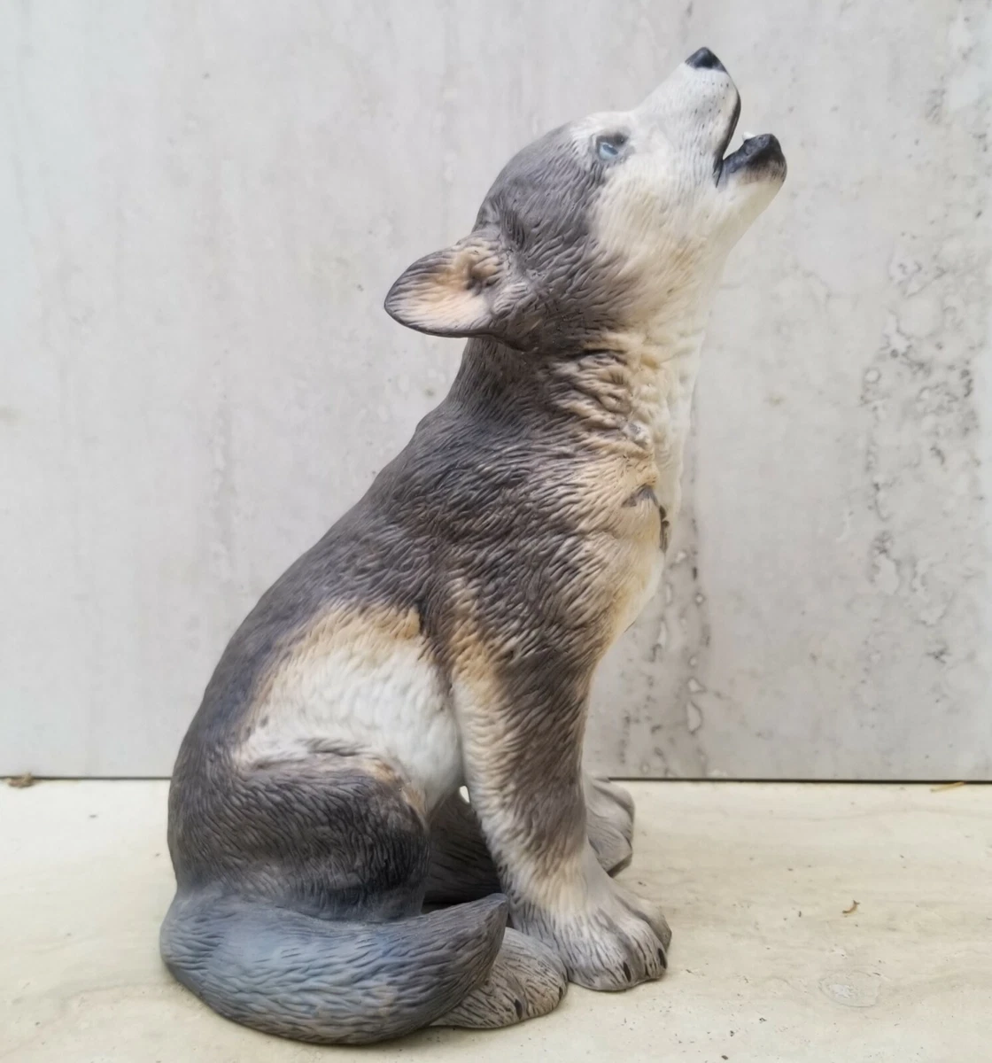 Grey Wolf Pup Howling