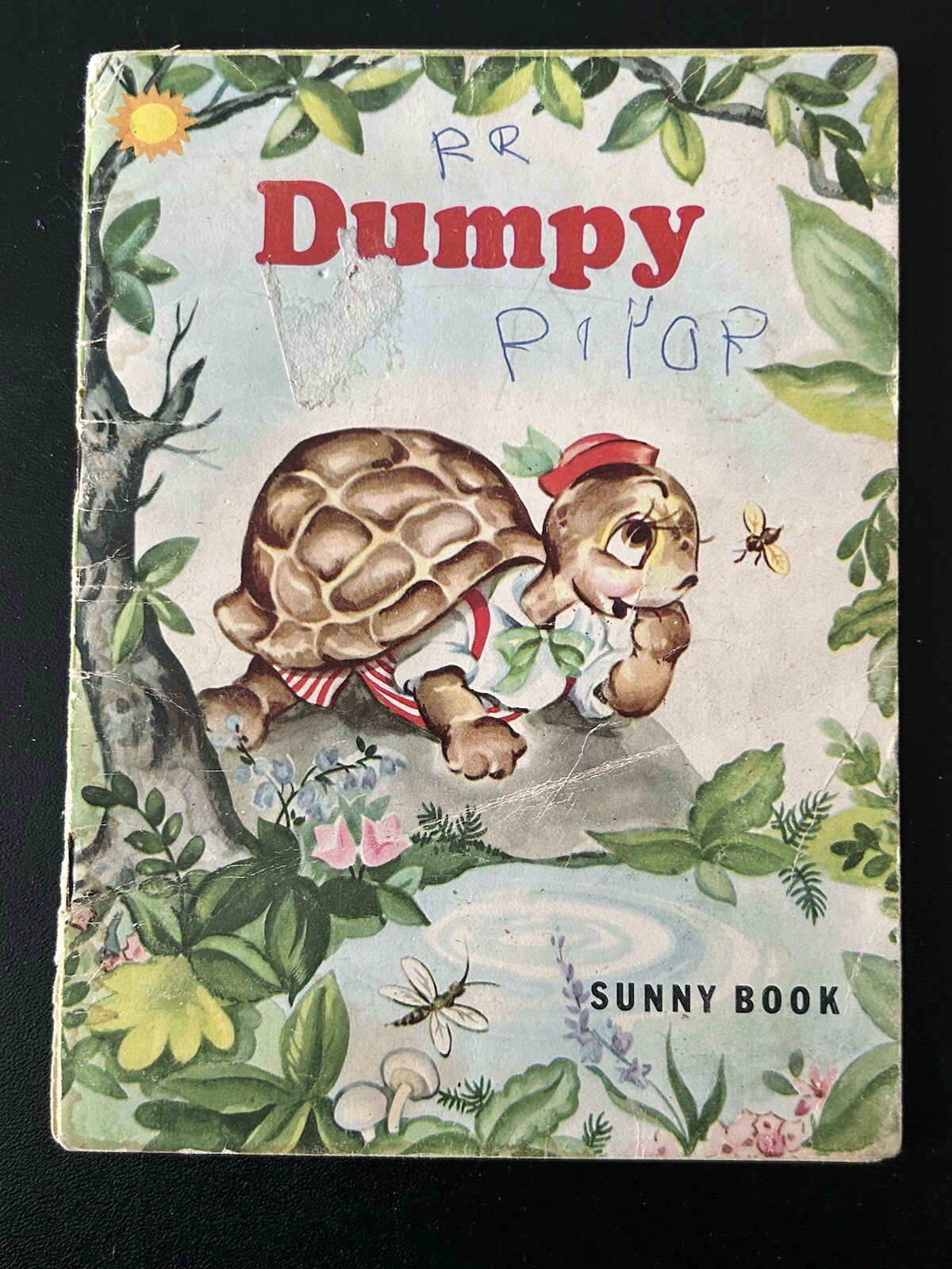 Vintage 1970 Dumpy Book Lucy MacDonald Sunny Books PB Fair | eBay