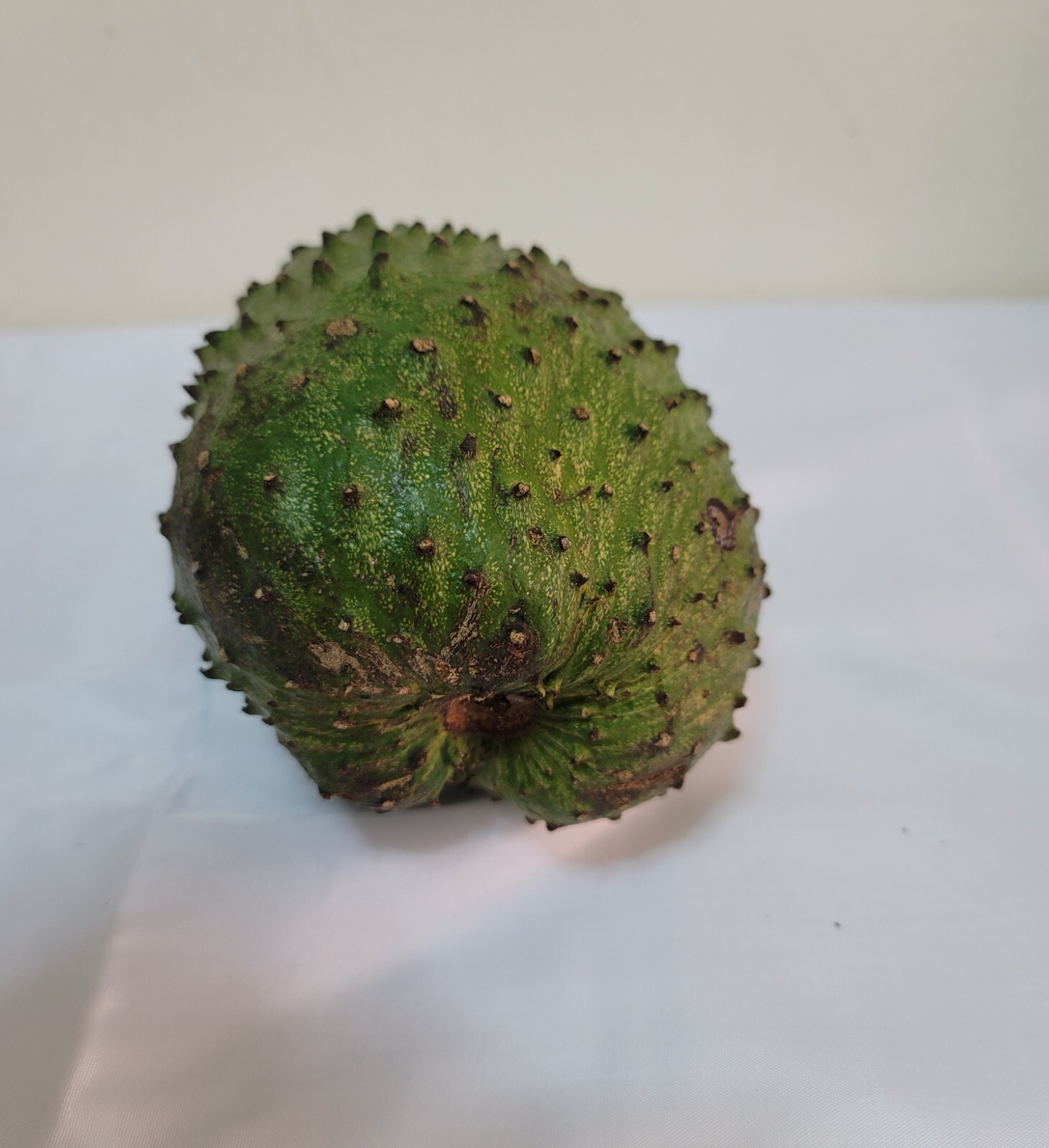 5 Pound Box Organically Grown Soursop Fruit/ Guanabana / Fresh Fruit ...