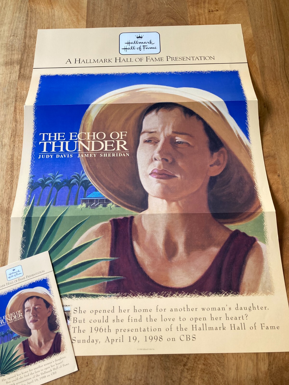 The Echo Of Thunder Movie Poster Hallmark Hall of Fame April 1998 20 1/2 x 30 | eBay