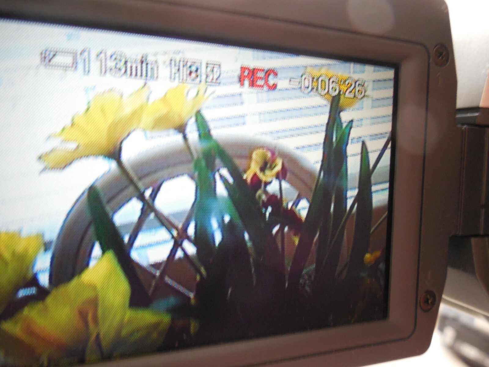 REFURBISHED Sony Handycam CCD-TRV43 8mm Hi-8 Camcorder TESTED 90-Day ...