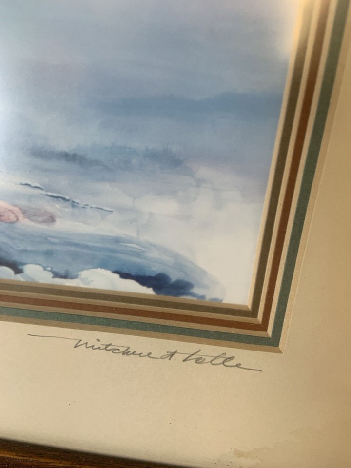 Vintage SIGNED ‘Snow Cougar’ Lithograph of Art Painting By Mitchell ...