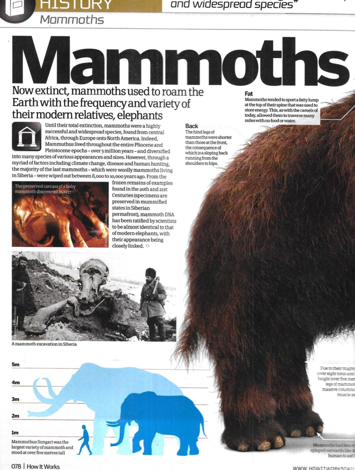 How It Works Magazine iPhone 4 Aircraft Carriers Primates Hangovers ...