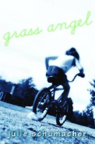 Grass Angel - Hardcover By Schumacher, Julie - GOOD 9780385730730 | eBay