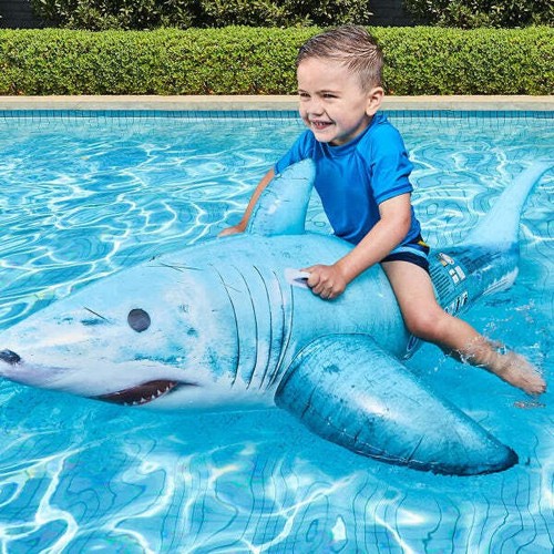 Inflatable Ride-on Shark | eBay Australia