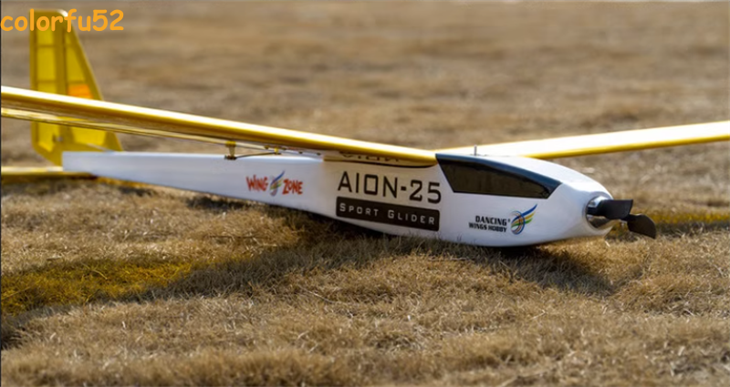RC Plane F25 AION Glider Airplane Balsa Wood Model Aircraft Kit ...