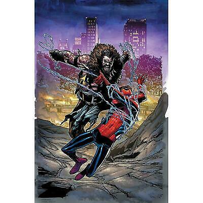 Amazing Spider-Man #1 Comic by Ryan Ottley - Premire Variant 2018 for ...