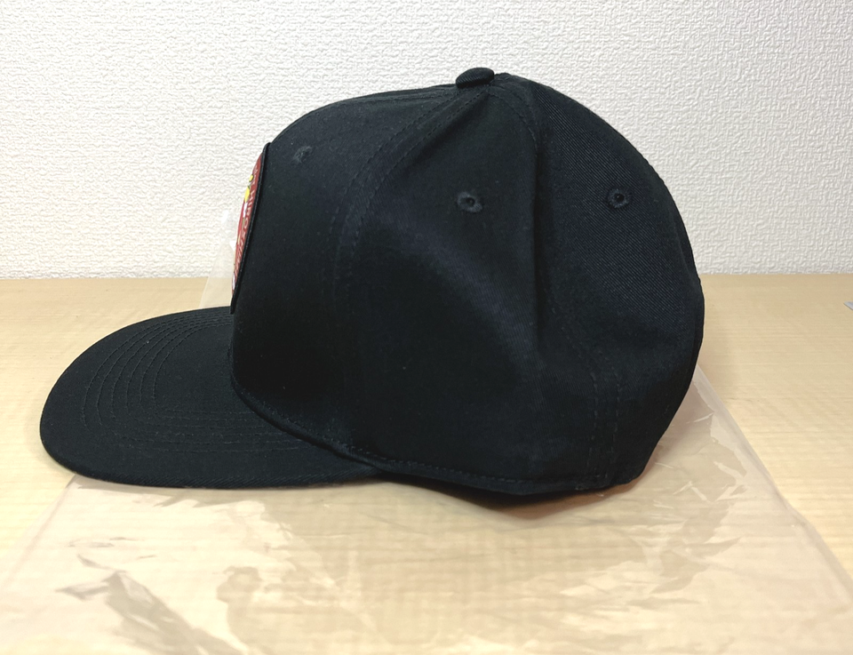 Pokemon Hiroshima Carp Cap Magikarp Koiking Red Gyarados pikacyu From ...
