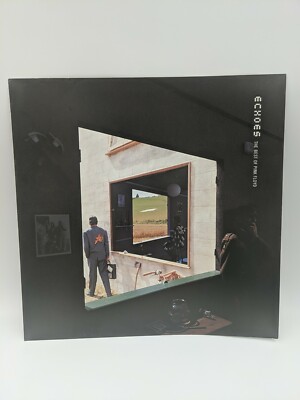 PINK FLOYD Echoes ALBUM PROMO POSTER FLAT 2001 RECORD STORES. 2 sided ...