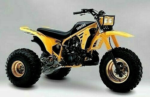 YAMAHA TRI-Z , 3 WHEELER YTZ 250 DG FACTORY RACING EXHAUST HEAD PIPE 85 ...