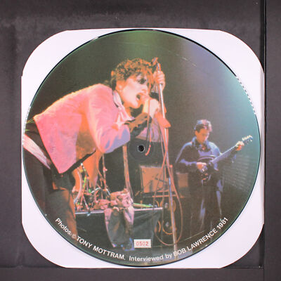 SIOUXSIE & BANSHEES: limited edition interview disc RED DOOR 12" LP 33 ...