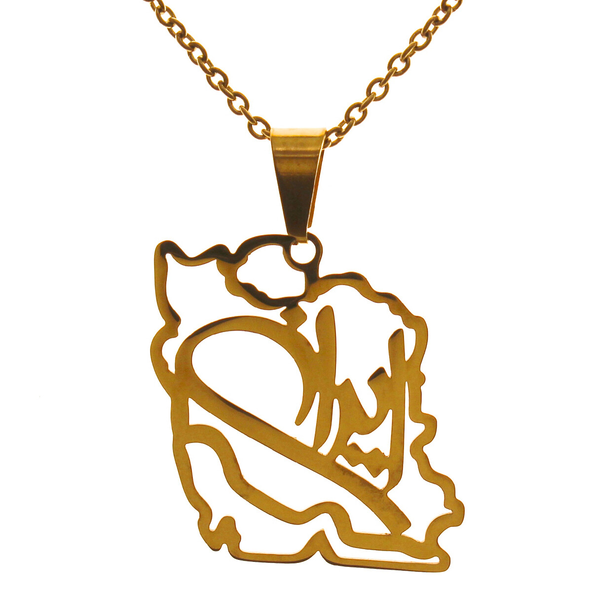 Iranian Persian Iran Flag Map Necklace Chain Iranian Persian Gift ...