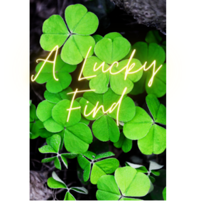 A Lucky Find Online | eBay Stores