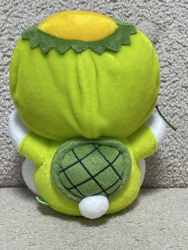 Hello Kitty Kappa Plush Toy Local Shinshu Limited 2001 Tagged Vintage ...