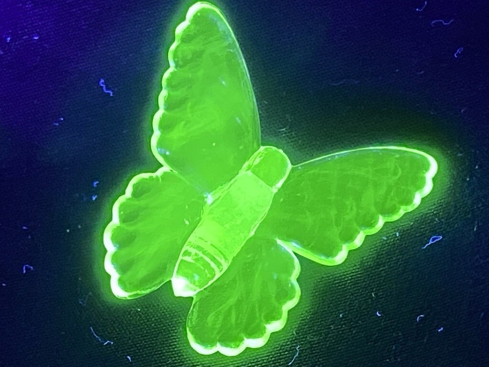 Green Vaseline glass butterfly insect monarch glow moth animal uranium ...