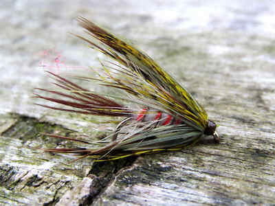 IFS Lough Arrow Mayfly Irish Lough competition flies 3 x 10, wet fly | eBay