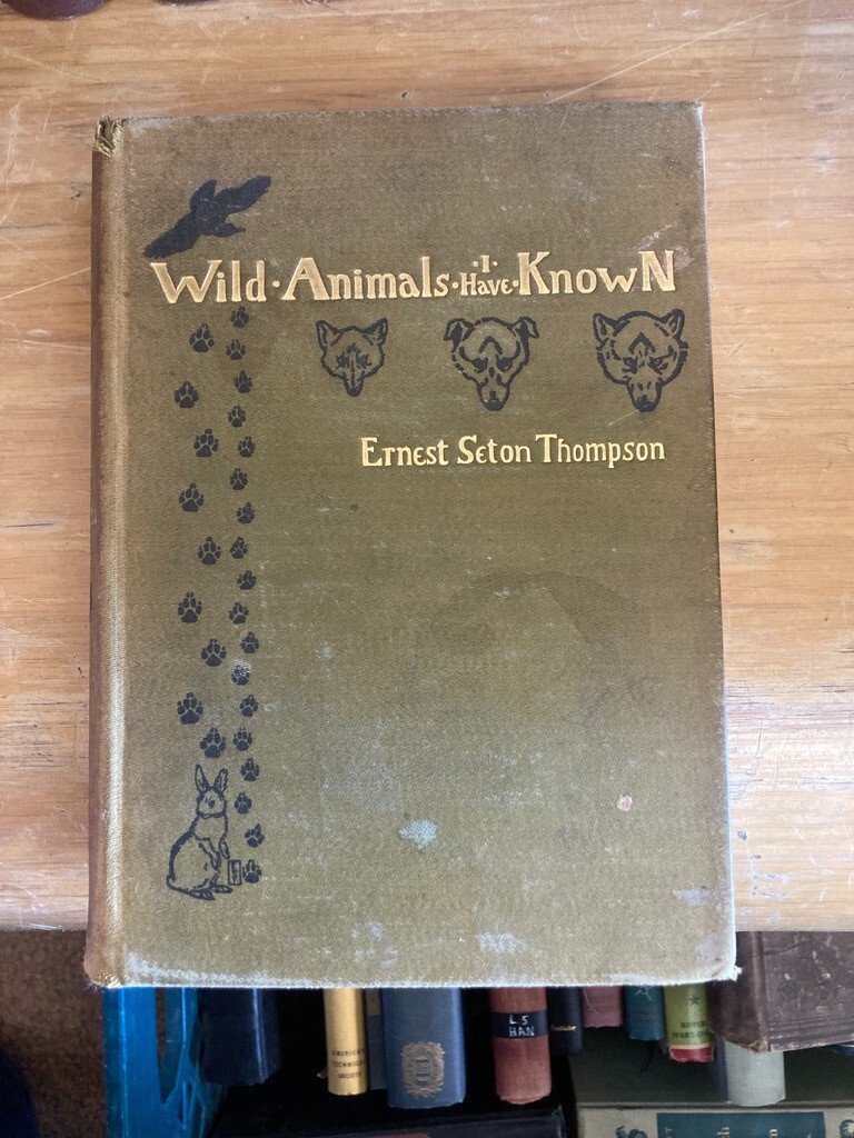 1898 ERNEST THOMPSON SETON 1902 edition WILD ANIMALS I HAVE KNOWN ...