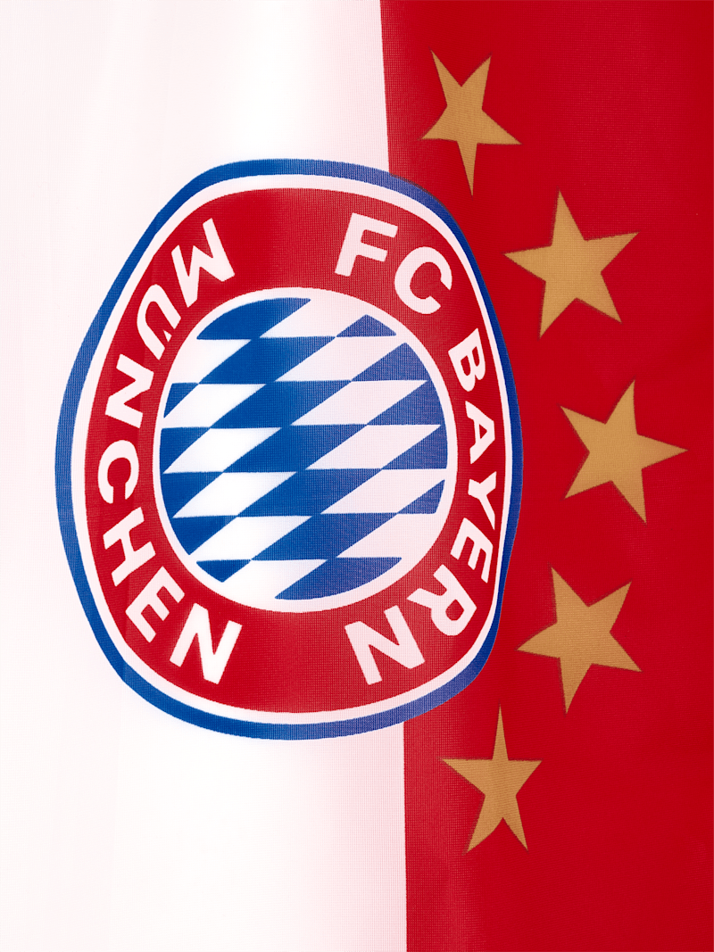 Original FCB FC Bayern München Fahne 5 Sterne Logo mit Stock (Artikel ...