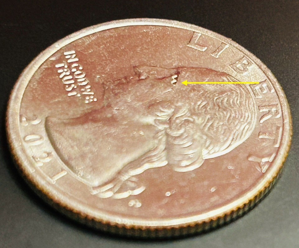 2021 (P) Crossing The Delaware Quarter “Snake Eye, Lip Mole +” Die Chip ...