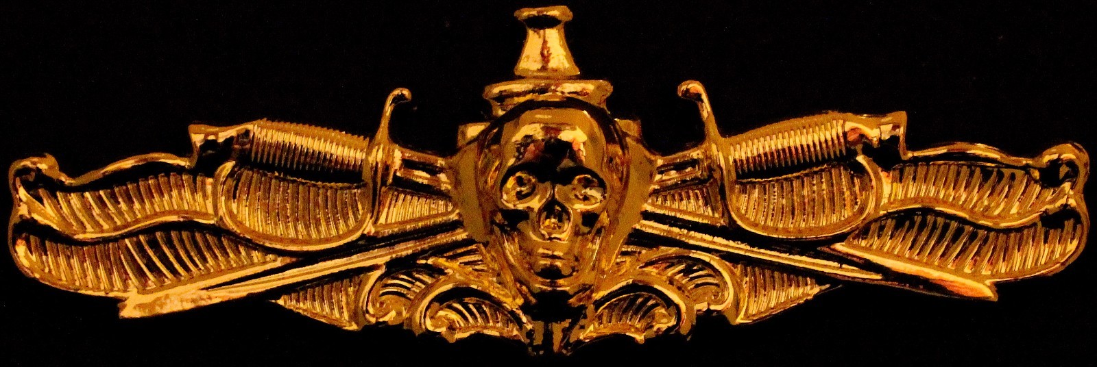 US Navy Surface Warfare Officer Skull Badge USN SWO Insignia Naval ...