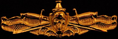 US Navy Surface Warfare Officer Skull Badge USN SWO Insignia Naval ...