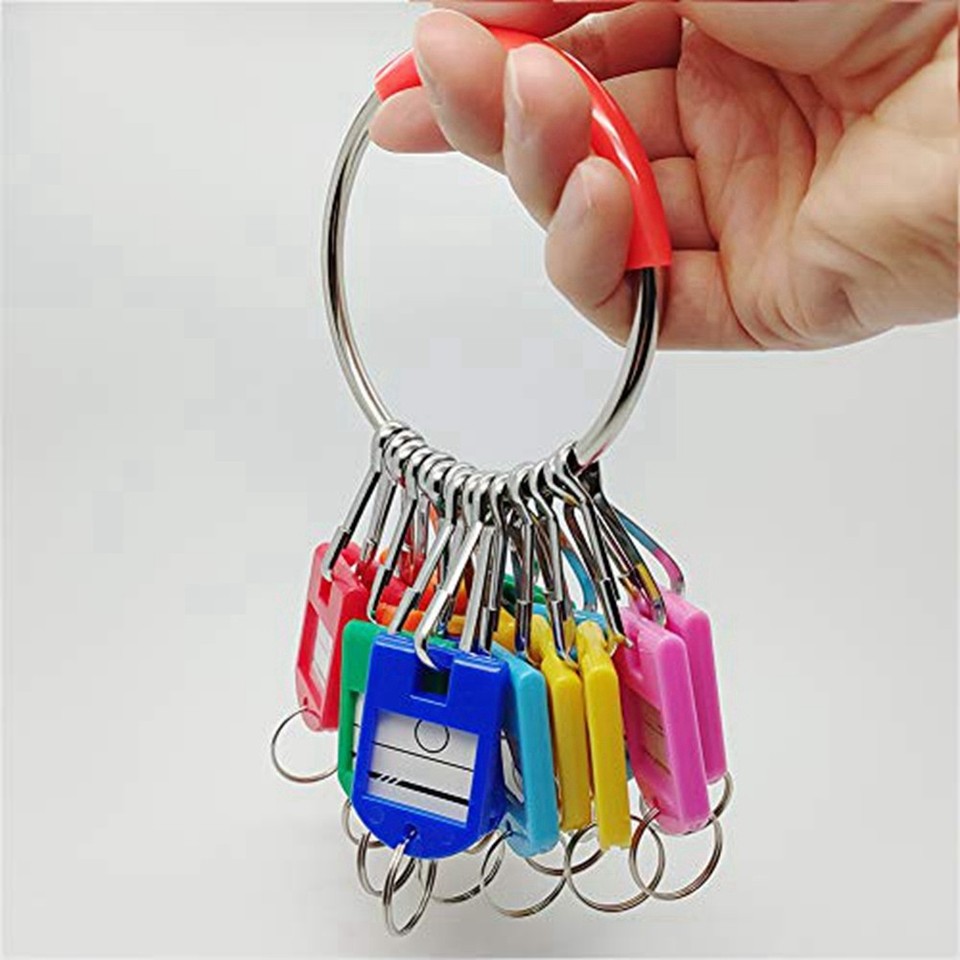 Key Organizer with 16 Spring Hooks & Key Tags with and Label Window ...