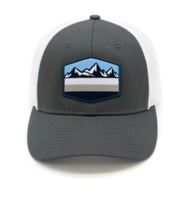 Hat Genome Project Skyline Low Profile Patch Trucker Hat Snap Back Blue Grey New | eBay