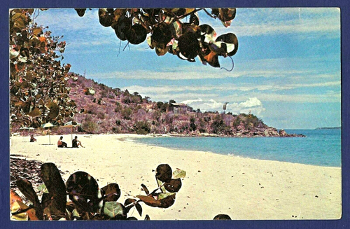 Morning Star Beach at St. Thomas, U.S. Virgin Islands | eBay