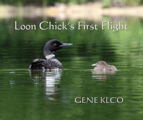 Gene Klco Loon Chick's First Flight (Poche) 9781933272511 | eBay