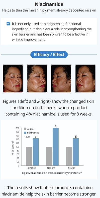 ATOMY Absolute Snow Night Cream 40ml All Day Brightening Skincare Serum ...