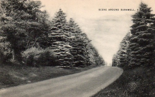 Road Scene Around Barnwell, South Carolina SC Postcard | eBay