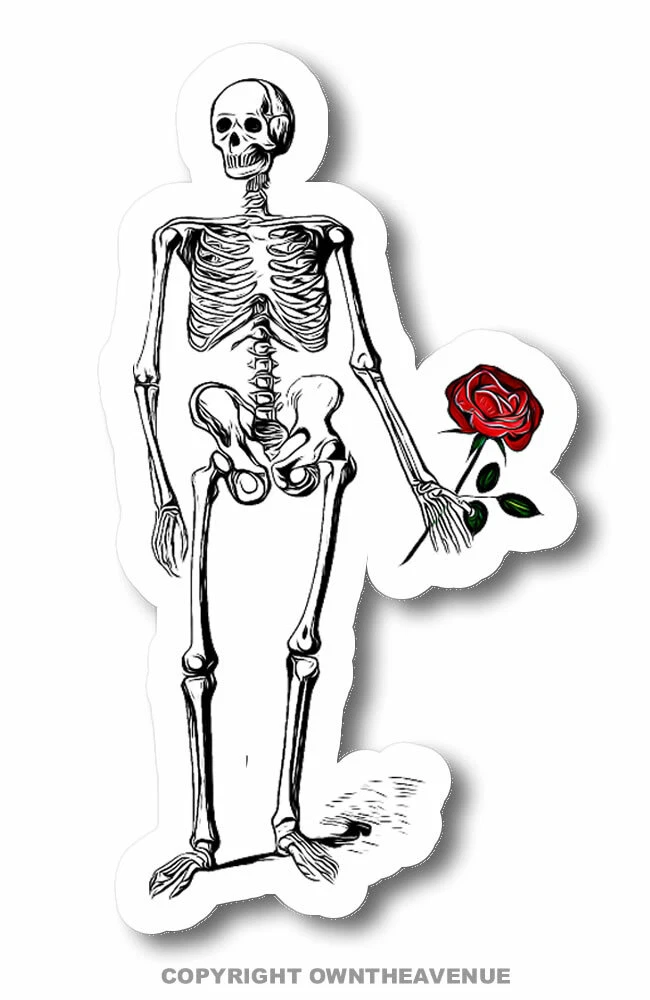 Skeleton Holding Rose
