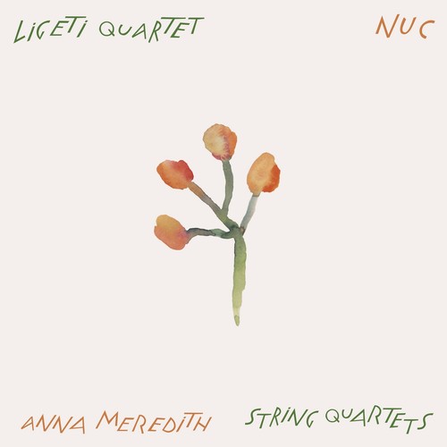 Anna Meredith Nuc: Anna Meredith: String Quartets (CD) Album ...