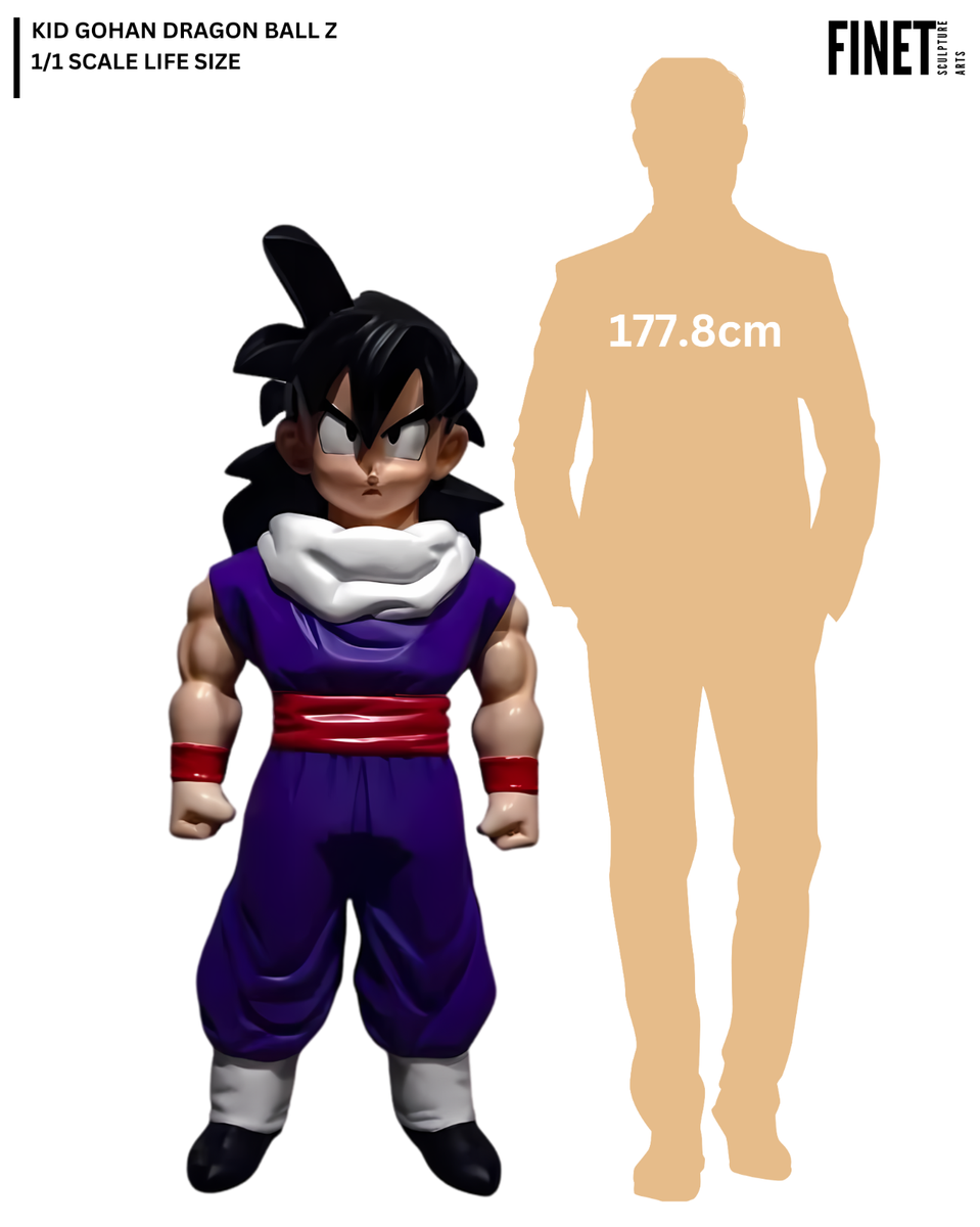 Gohan In Real Life