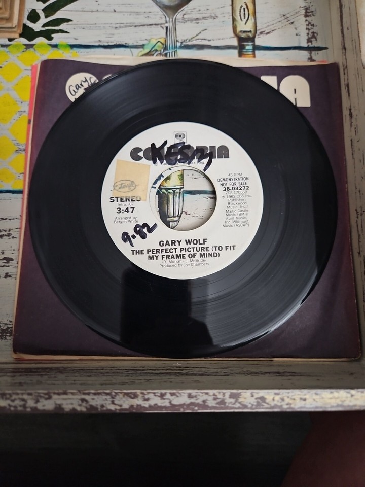 GARY WOLF The Perfect Picture To Fit My Frame Of Mind PROMO 45 7 ...