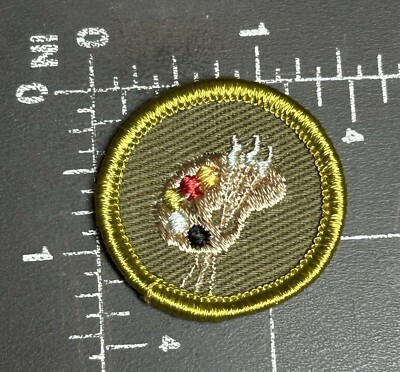 Vintage Art Merit Badge Paint Palette Boy Scouts of America BSA ...