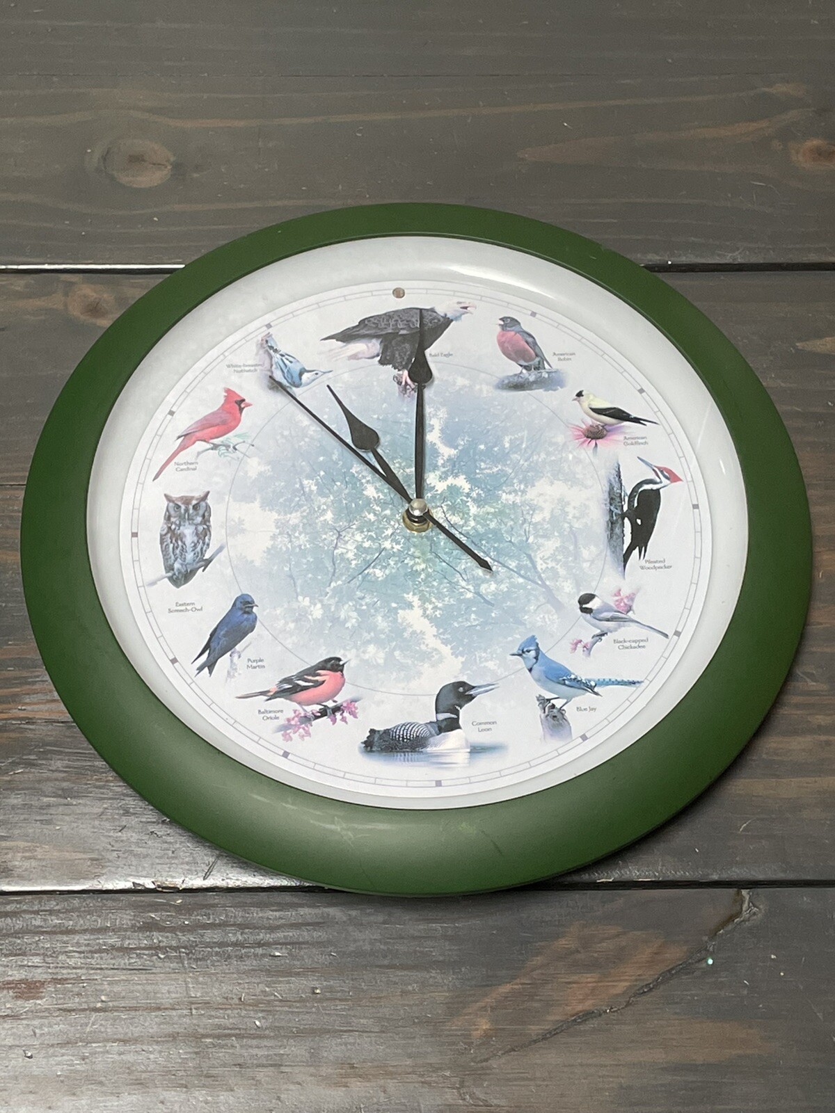 Mark Feldstein & Associates BIRD13 13IN Singing Bird Hanging Wall Clock ...