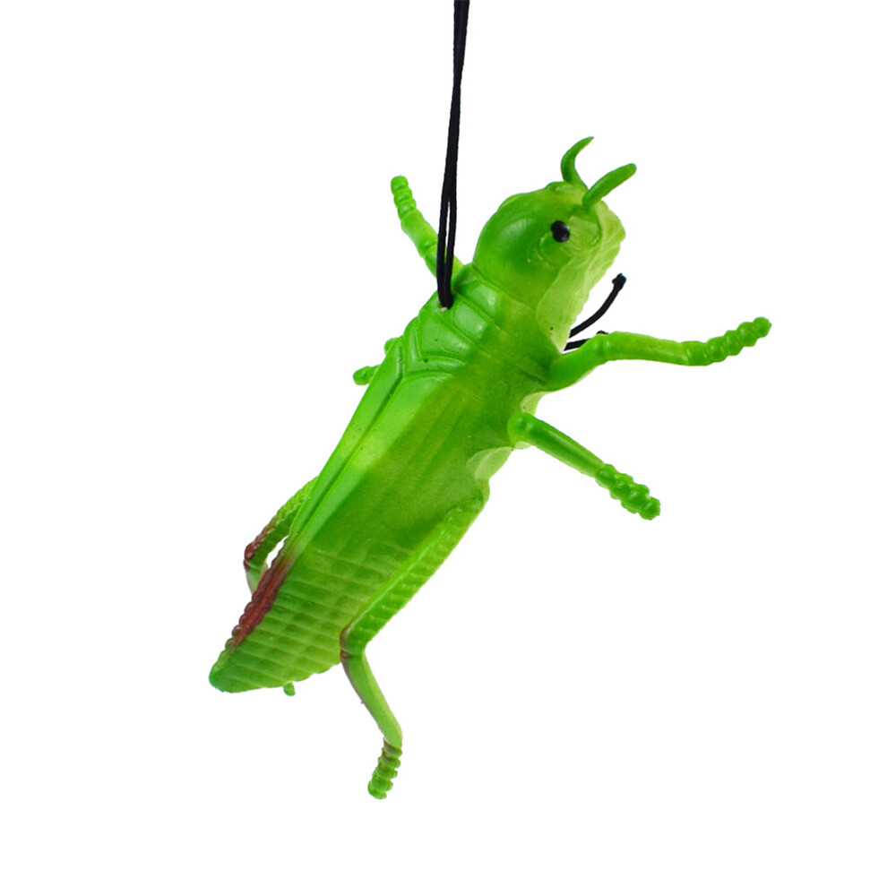 Toys Figures Plastic Toy Locusts Halloween Prop Plastic Grasshoppers ...
