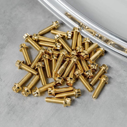 120x M7 24mm Gold 2PC 3PC Split Rim Assembly Bolts BBS RM LM OZ RH ...
