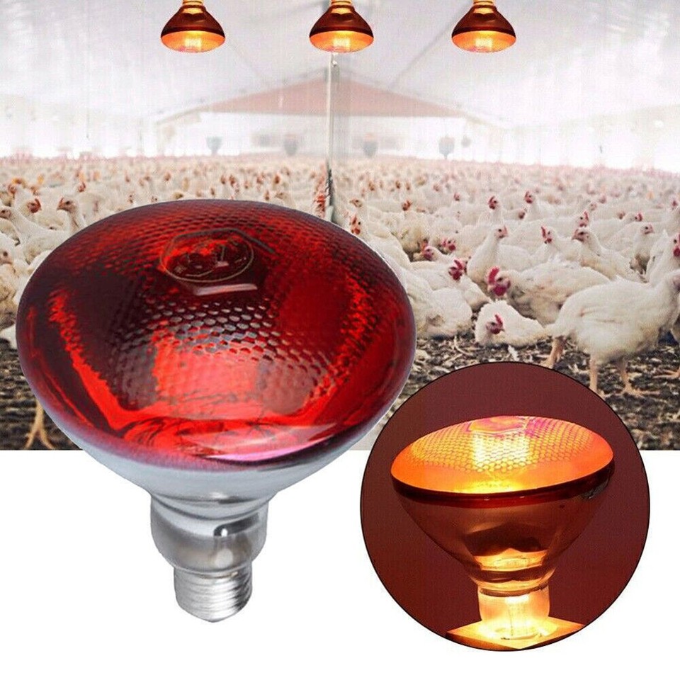 2PCS INFRA RED HEAT BULB LAMP RUBY 250W Poultry Chick Brooder Lambs ...