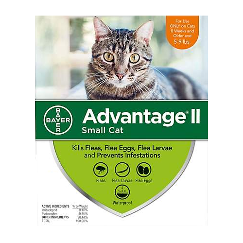 Advantage II For Small Cats 5-9 lbs, 6 Pack ORANGE | eBay