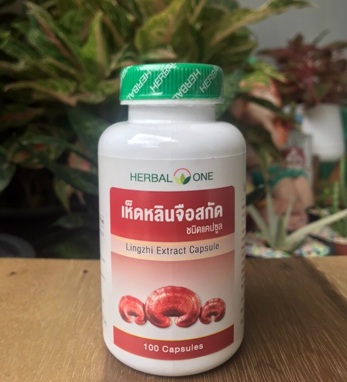 HERBAL ONE LINGZHI REISHI CAPSULES GANODERMA LUCIDUM SUPER FOOD HERB ...