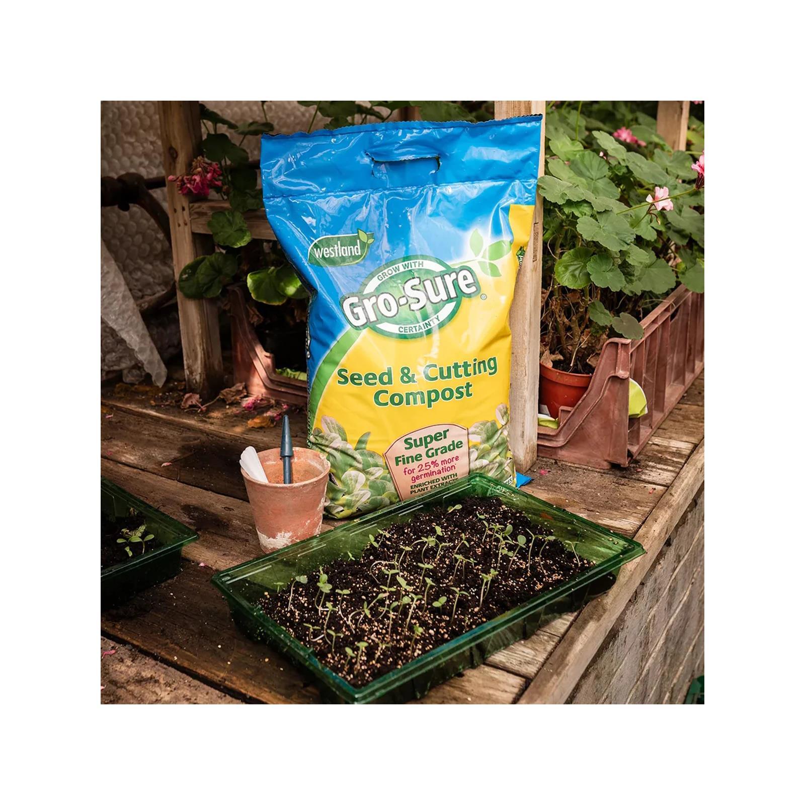 GRO-Sure Compost Seed and Cutting Westland Super Fine Grade 10L ...