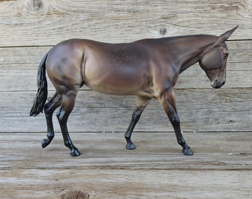 Peter Stone "Scarlett" OOAK BAY MULE, TRADITIONAL SIZE | eBay