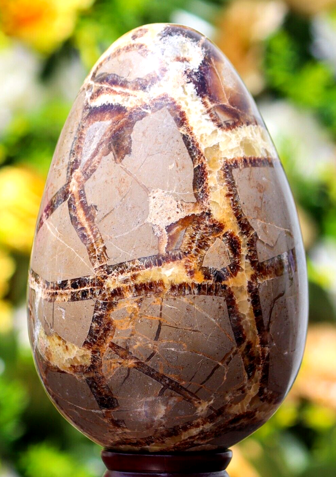 180MM Yellow Septarian Egg Septaria Septeyre Chakra Crystal Healing ...