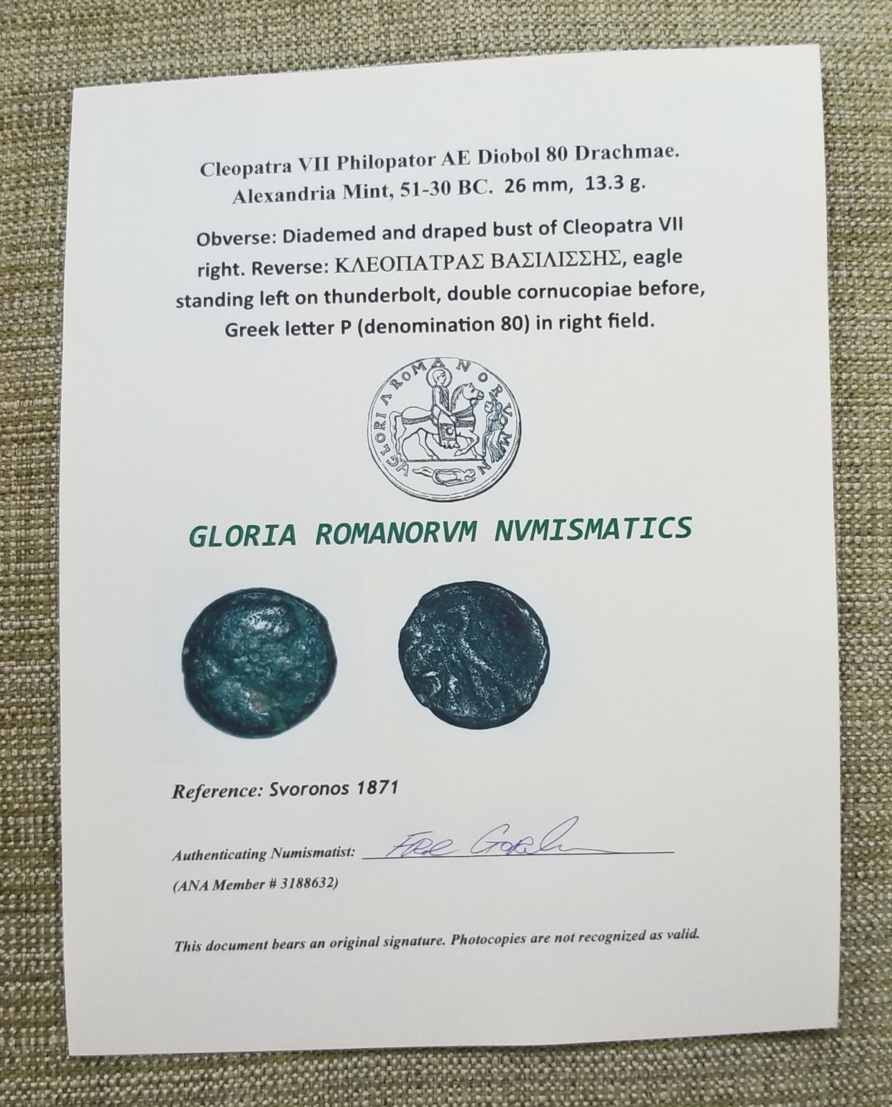 Ancient Greek Cleopatra VII Authentic Large Bronze Coin 80 Drachmae ...