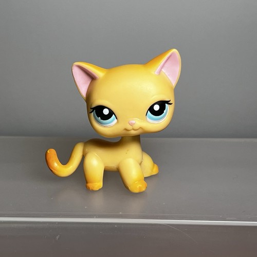 AUTHENTIC Littlest Pet Shop Brooke Hayes Short Hair Cat #339 Blue Eyes ...