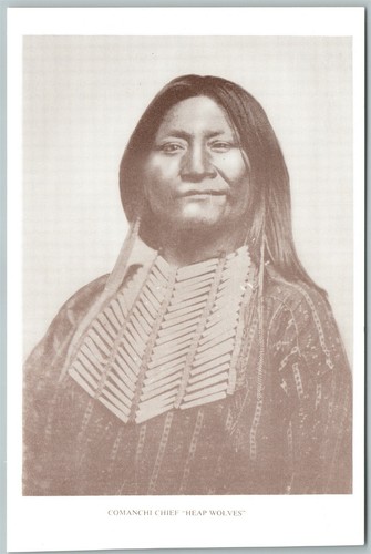 AMERICAN INDIAN COMANCHI CHIEF HEAP WOLVES UNDIVIDED ANTIQUE POSTCARD ...